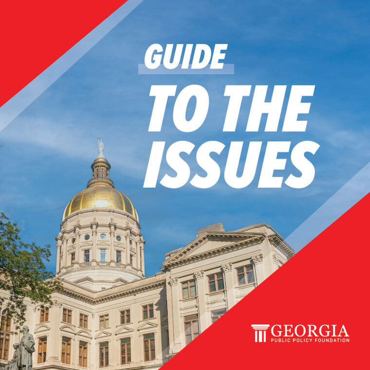 Guide to the Issues